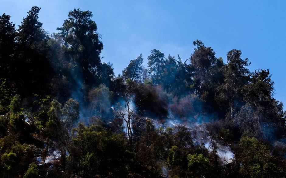 Onemi Reporta Que Ocho Incendios Forestales Relevantes Se Encuentran